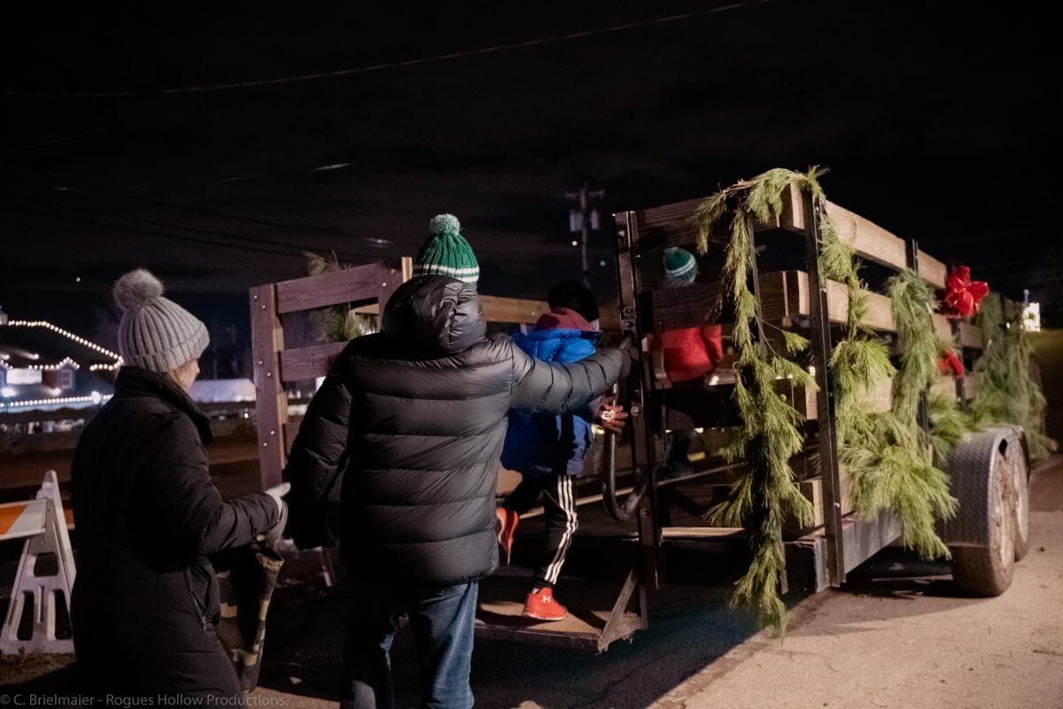 Original Lighting Display Designs for Farms | Creative Displays