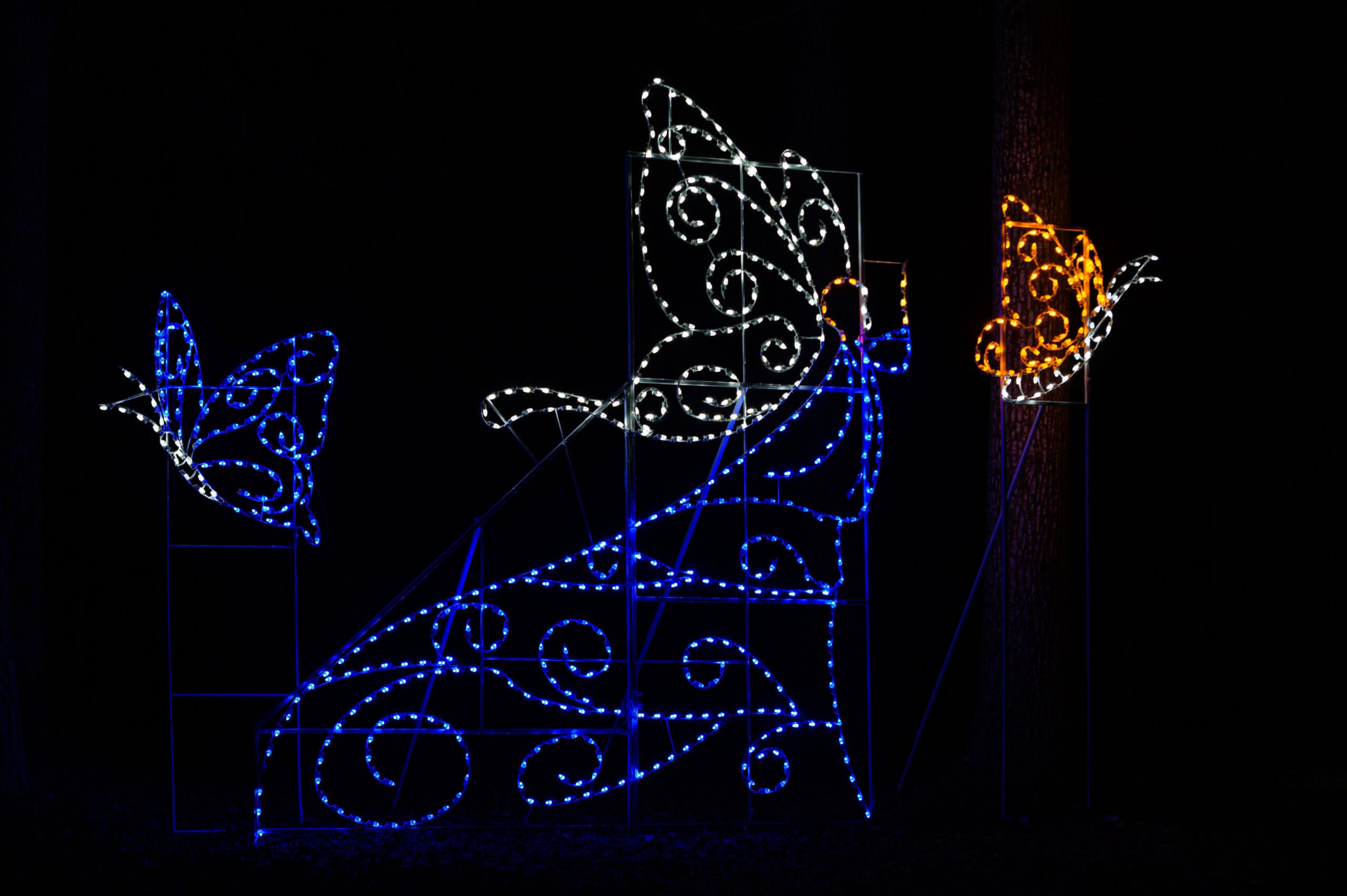Butterfly Princess Holiday Light Display - Creative Displays