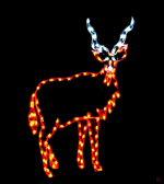 8' Kuda Buck Holiday Light Display - Creative Displays