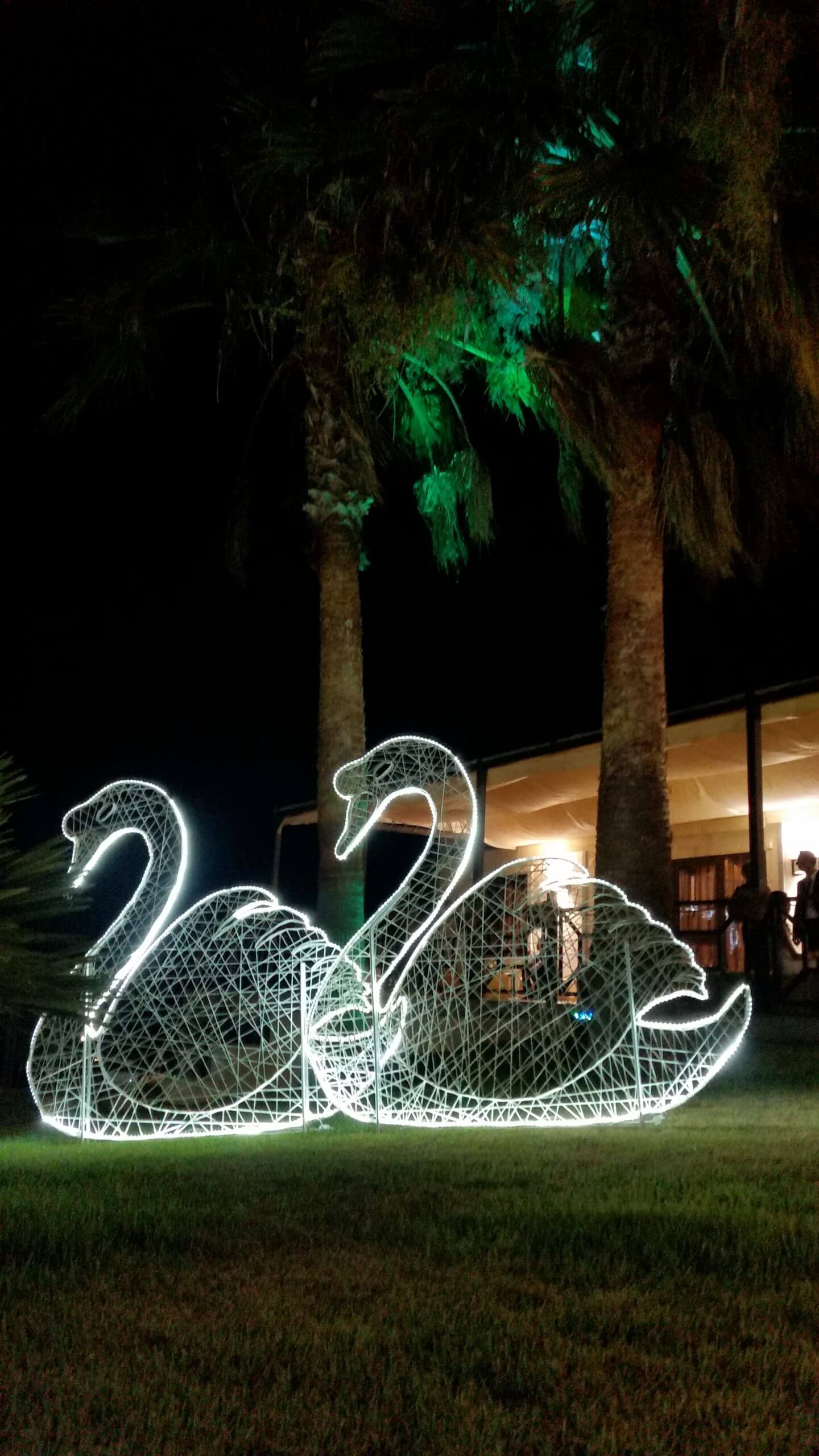 2D SWANS