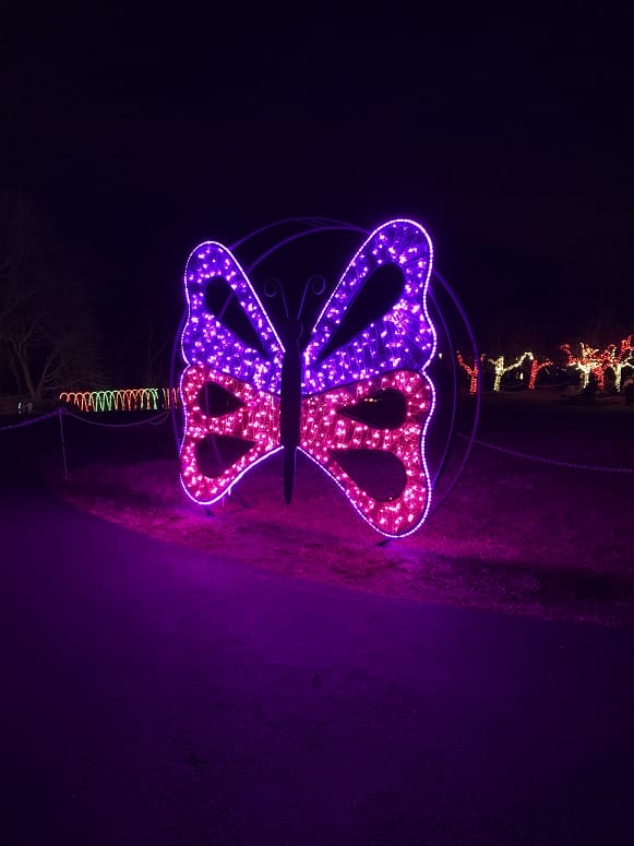 PVC MESH BUTTERFLY - Creative Displays