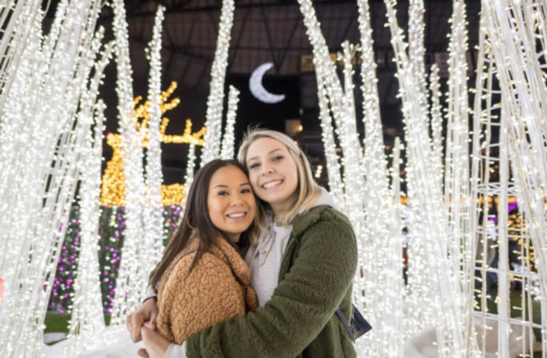 Ice Shards for Commercial Holiday Display or Winter Events