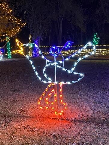 5' Twelve Days Of Christmas - Day 4 Holiday Light Display