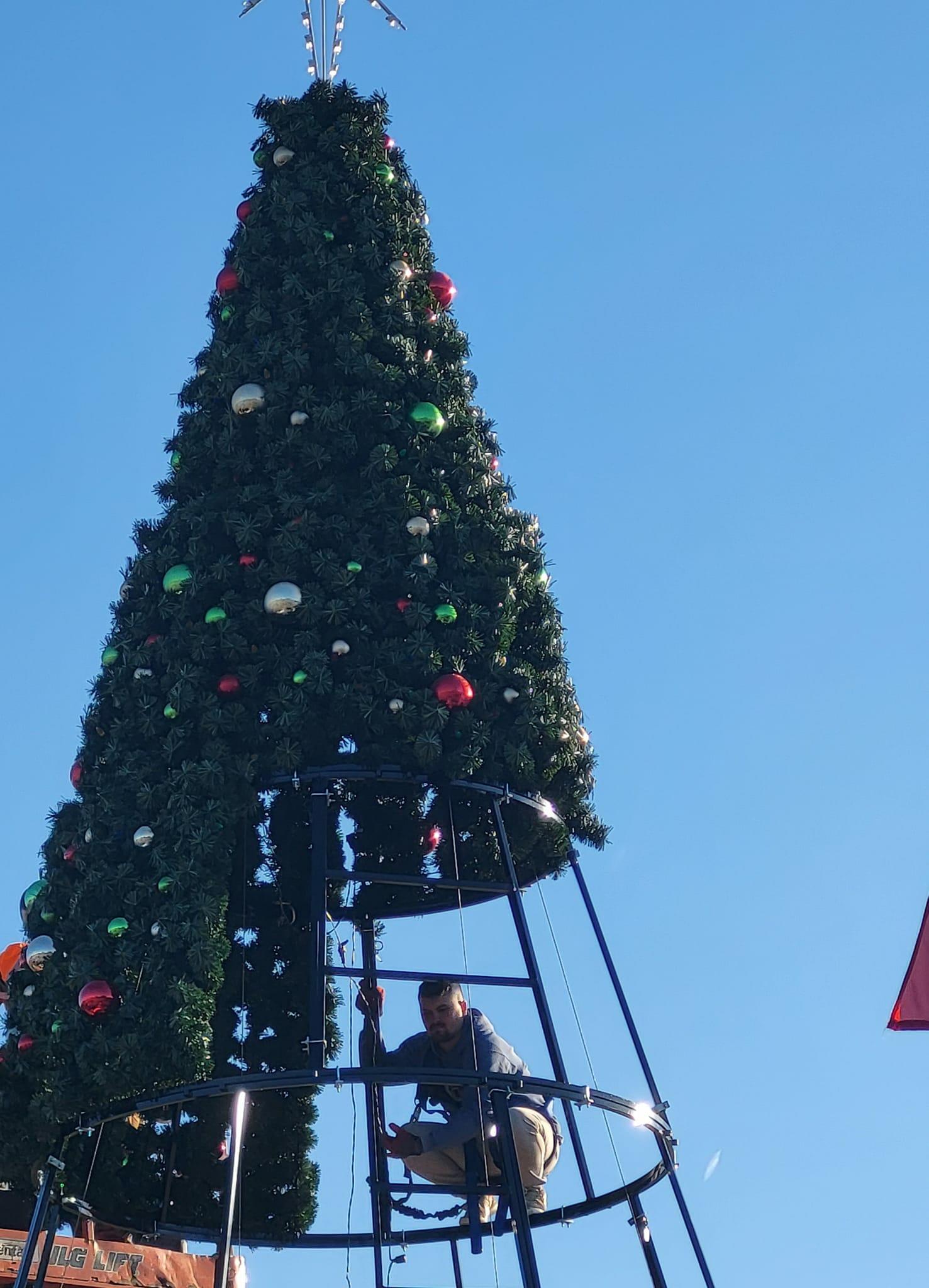 30 Ft. Panel Christmas Tree