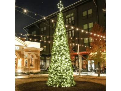 What You Need To Know About Commercial Xmas Trees