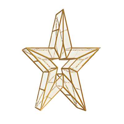 Stunning Oversized 7' 3D LED Star | Holiday light display