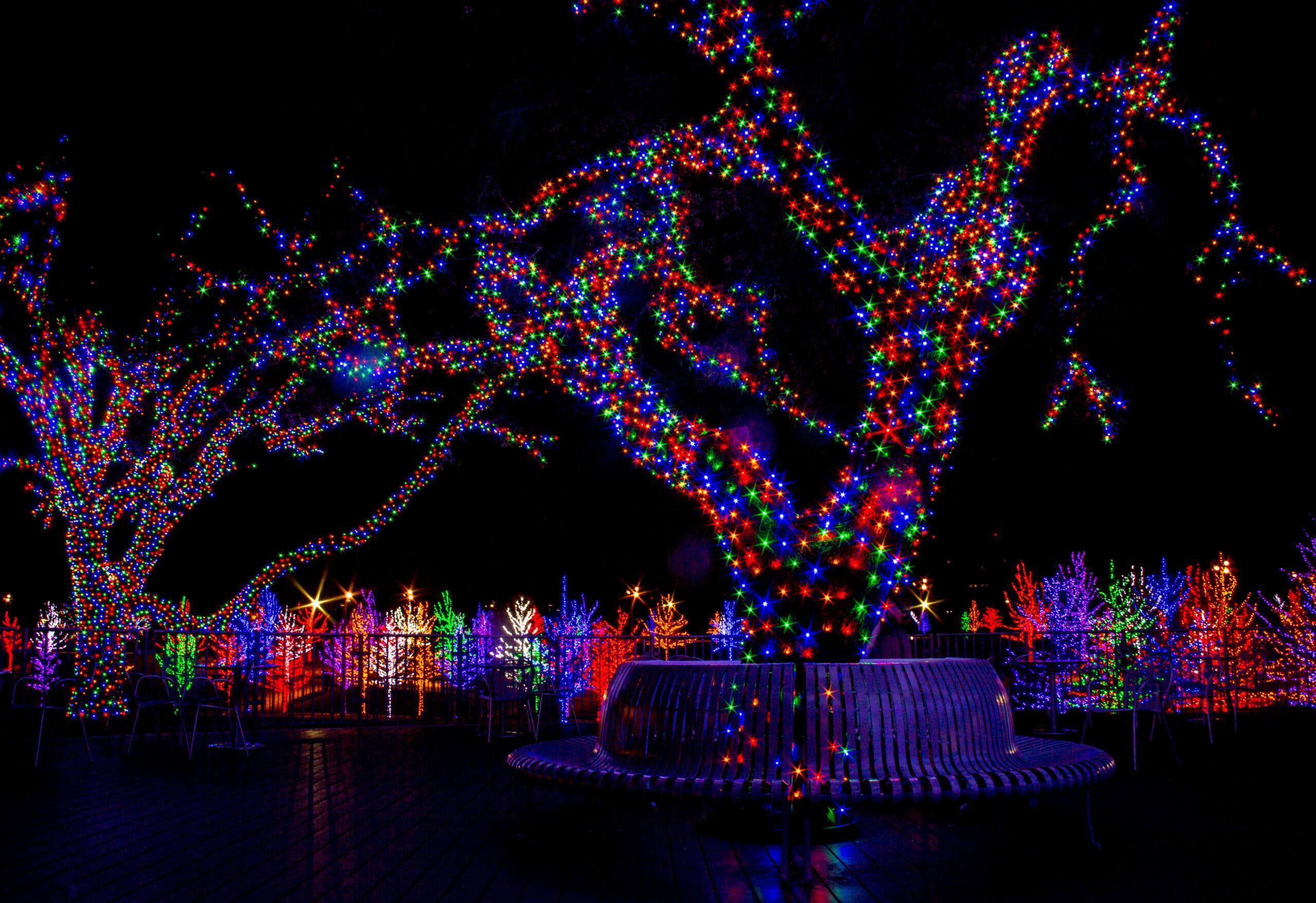 How to Choose the Best LED Retrofit Bulbs for Your Display