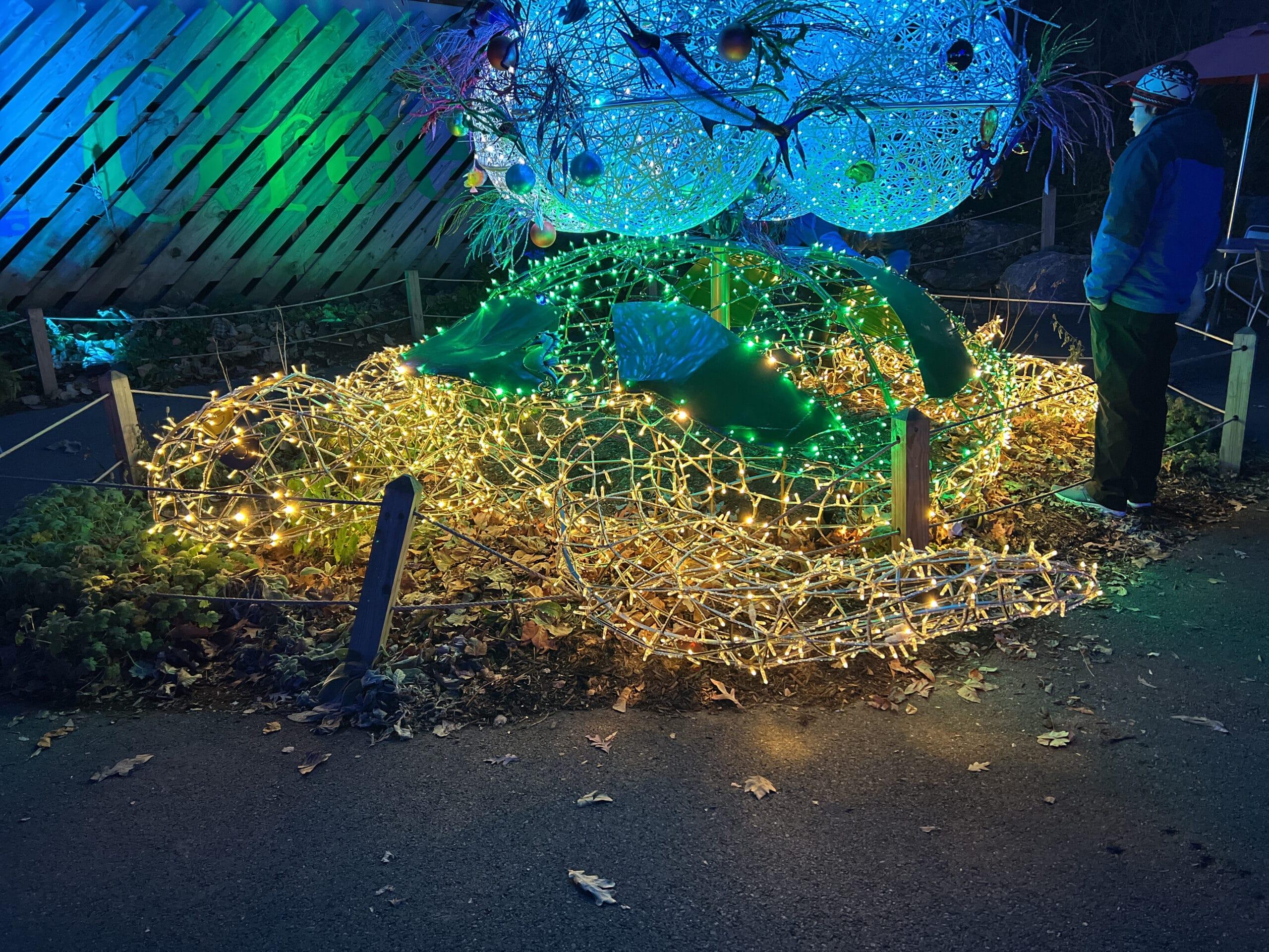 3D Sea Turtle Light Display - Creative Displays