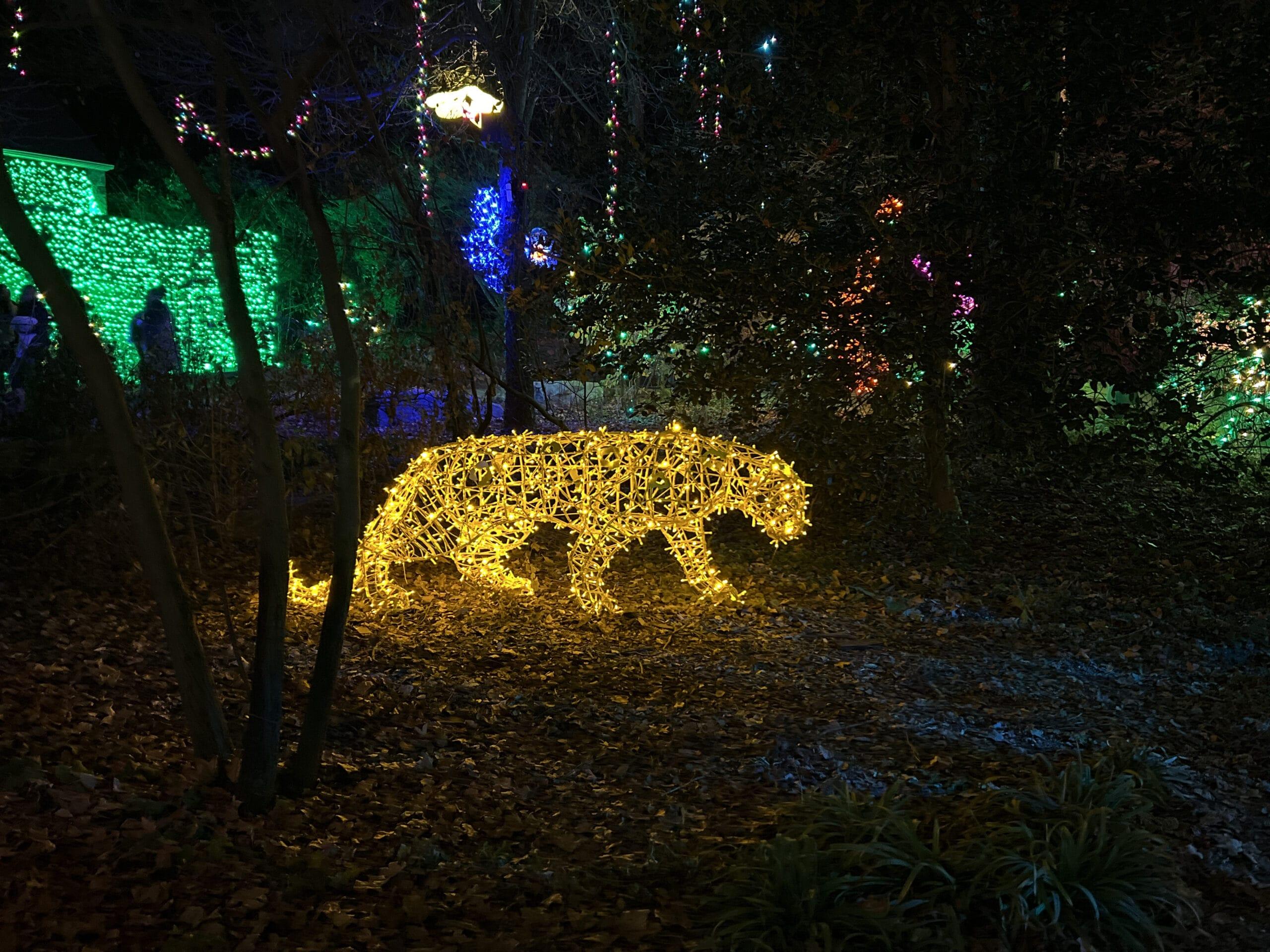3D Leopard Light Display - Creative Displays