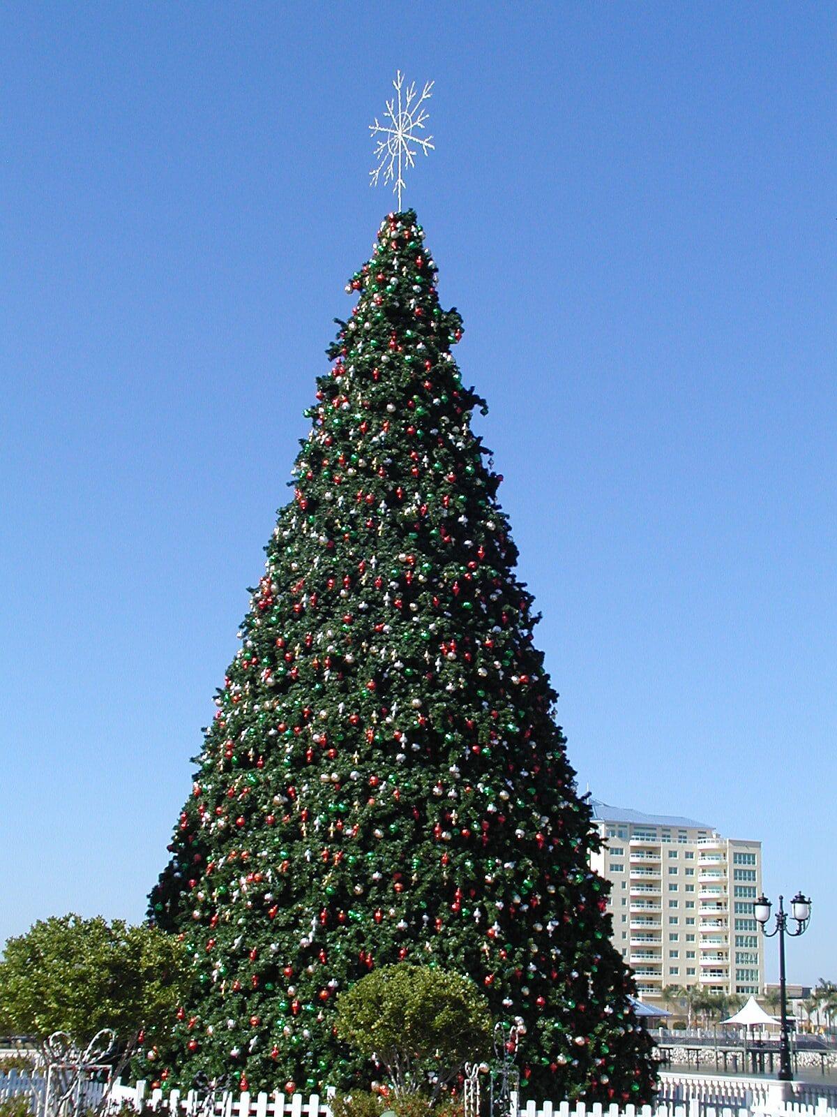 Extended Branch Panel Tree - Creative Displays